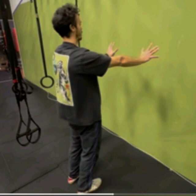 Explosive Scap Dips by Alex 🌊. - Exercise How-to - Skimble