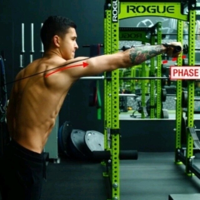 Serratus Workout Activating The Serratus Anterior In Push Ups Studio