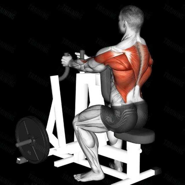 Chest Supported Row Machine by Martel Berry - Exercise How-to - Skimble