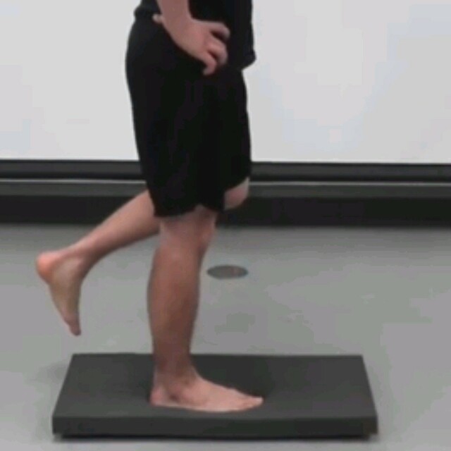 Single Leg Half Squat by Xexu Lara - Ejercicio Cómo hacerlo - Skimble