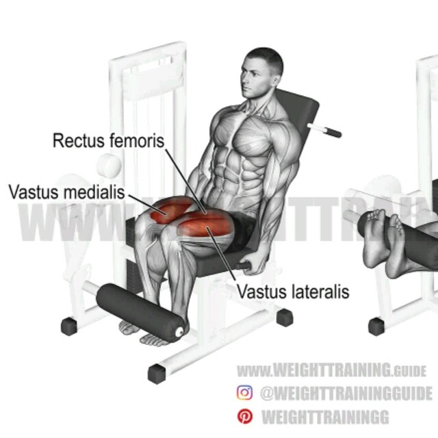 Leg extension by M P - Exercise How-to - Skimble Workout Trainer