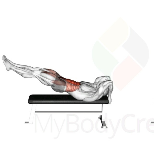 ABS: Leg raises on the bench by M P - Exercise How-to - Skimble