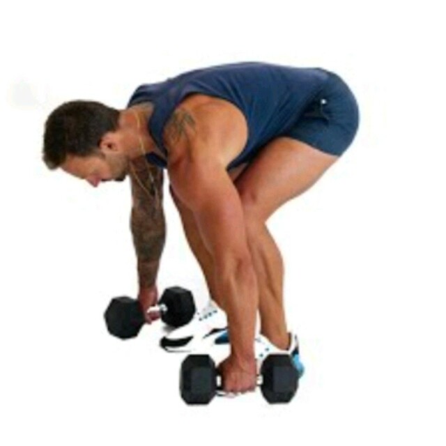 Explosive Dumbbell Dead Row by 𝔻𝕖𝕤𝕖𝕣𝕥 𝔽𝕠𝕩🦊 🌟 - Exercise How-to - Skimble