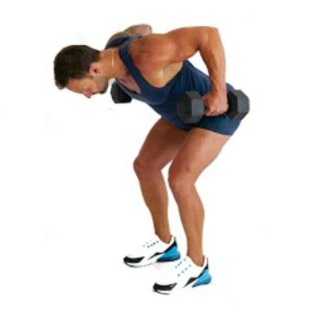 Explosive Dumbbell Dead Row by 𝔻𝕖𝕤𝕖𝕣𝕥 𝔽𝕠𝕩🦊 🌟 - Exercise How-to - Skimble