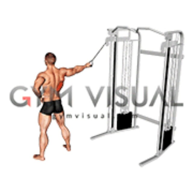 Single Arm Side Pull Downs Cable by Kagey A - Exercise How-to - Skimble