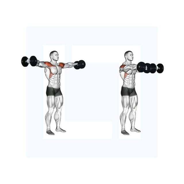 Dumbbell Front Raise To Side Raise by Coach Matt Vinzant - Exercise How ...