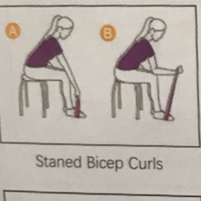 Sit On A Chair Biceps Curls by Melissa Leng - Exercise How-to - Skimble