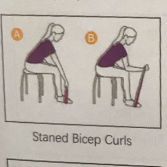 Chair Biceps Curls by Melissa Leng - Exercise How-to - Skimble