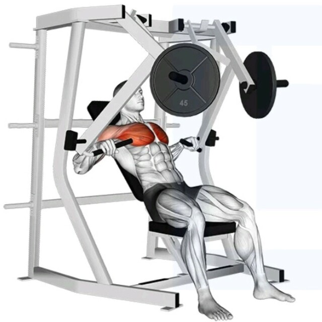 Lever Decline Chest Press by Ali 🇱🇧 D. - Exercise How-to - Skimble