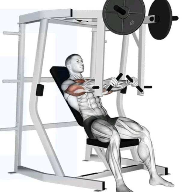 Lever Decline Chest Press by Ali 🇱🇧 D. - Exercise How-to - Skimble