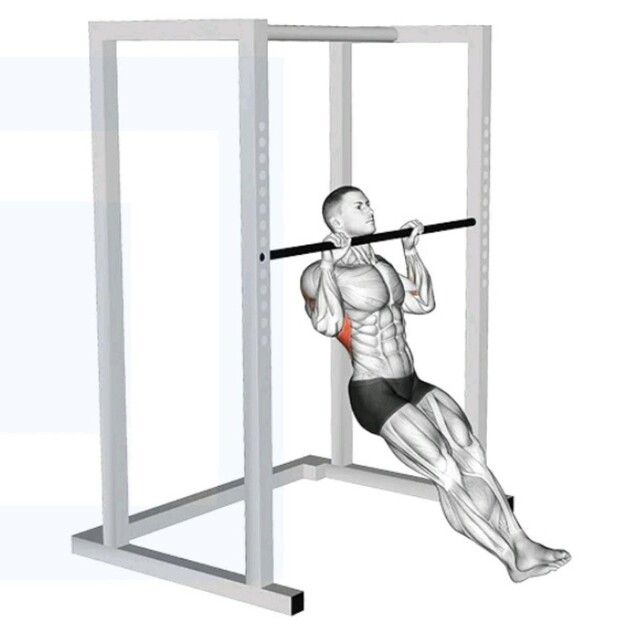 Seated Pull Up by Ali 🇱🇧 D. - Exercise How-to - Skimble