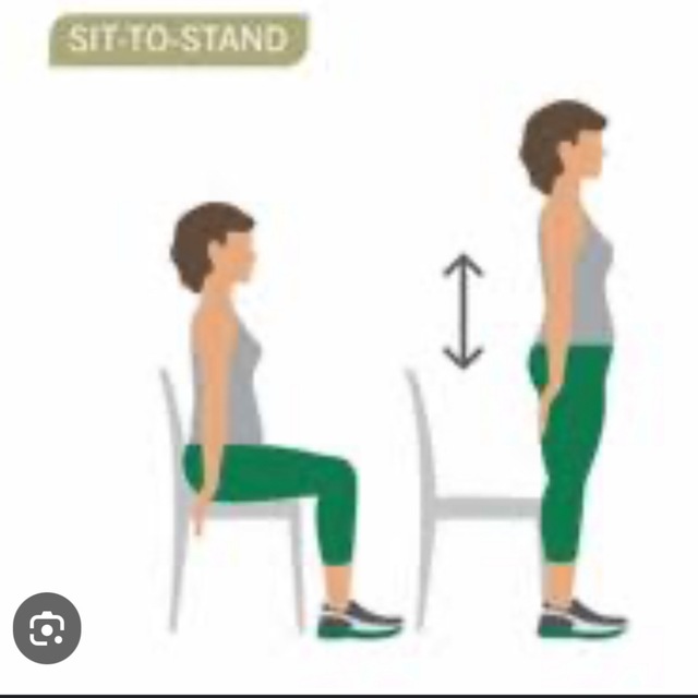 Sit To Stand by Karlene M. - Exercise How-to - Skimble
