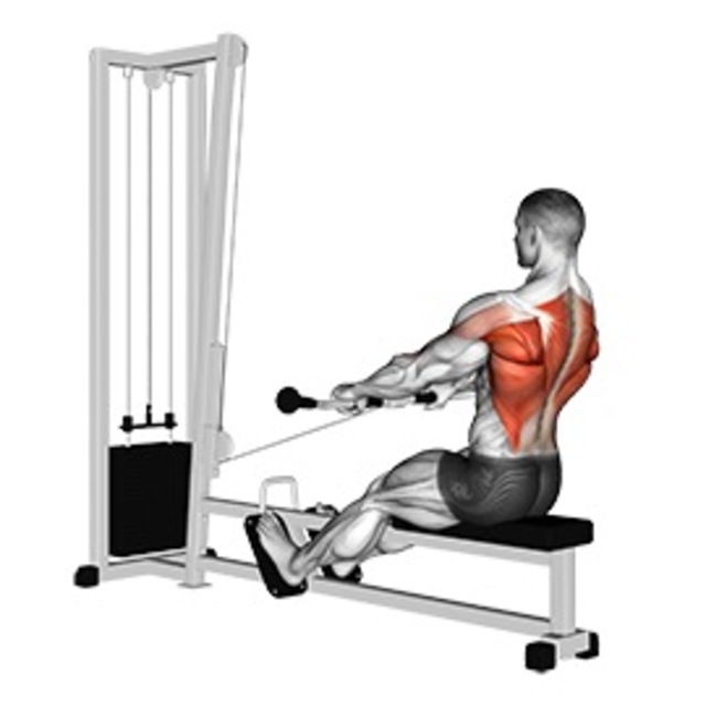 Cable Low Seated Rows by Tyler Myette - Exercise How-to - Skimble