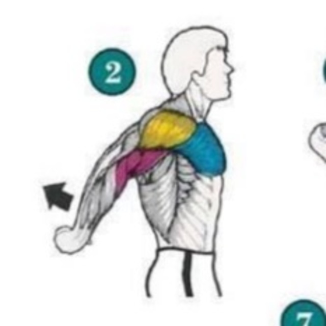 Behind Back Stretch by Martel Berry - Exercise How-to - Skimble