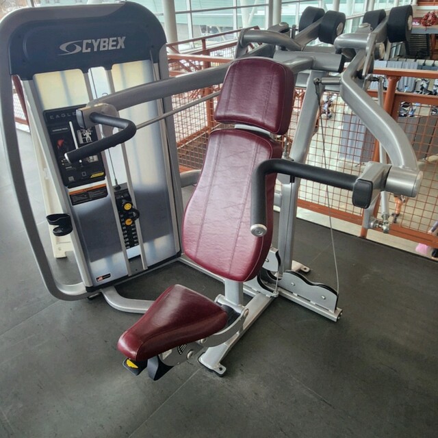 Overhead Press - Circuit by Steve H. - Exercise How-to - Skimble