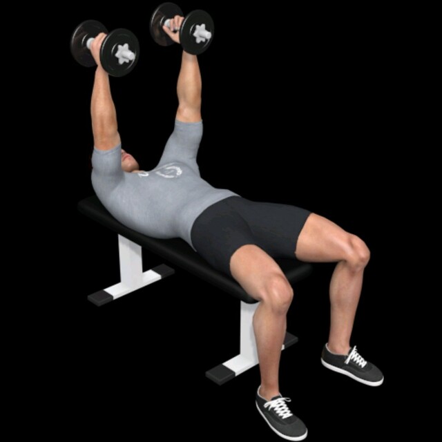 Neutral Grip Dumbbell Press by Martin G - Exercise How-to - Skimble