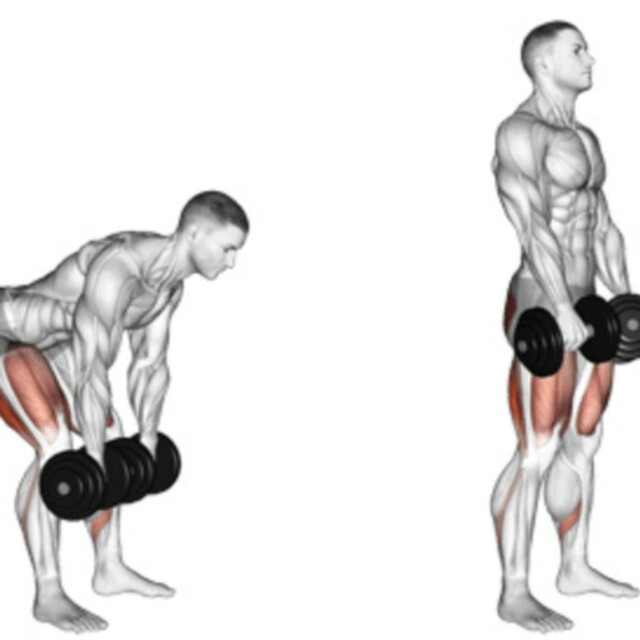 RDL by Rayel R. - Exercise How-to - Skimble Workout Trainer