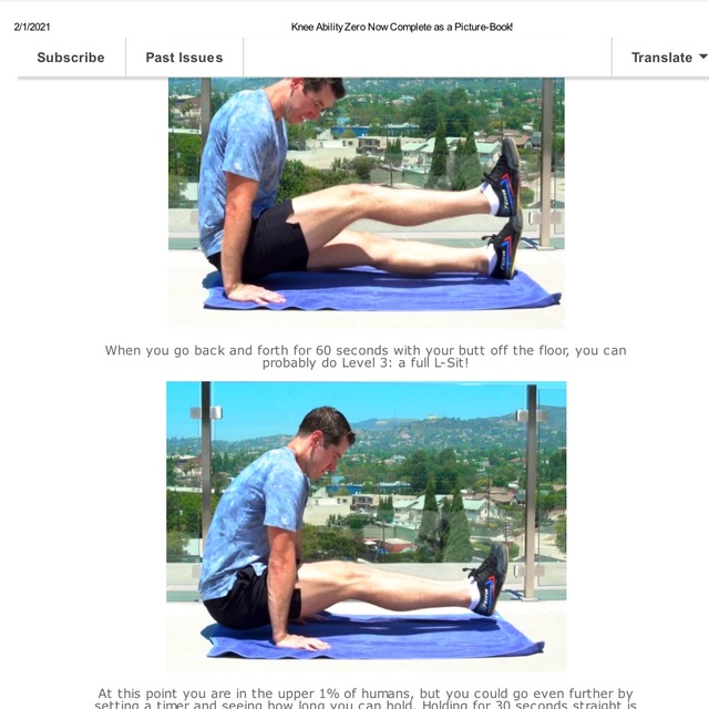 STEP 8: L-SIT by Armin Krause - Exercise How-to - Skimble