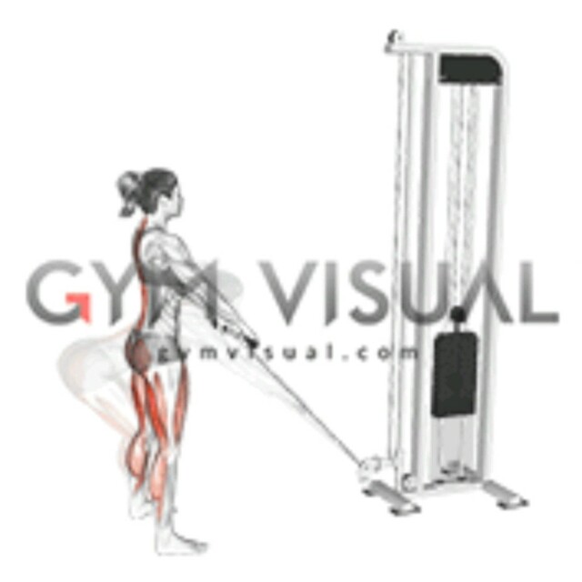 Cable Romanian Deadlifts by Kendall Moore - Exercise How-to - Skimble