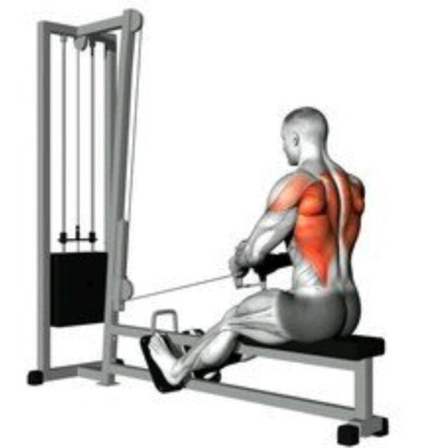 Seated Cable Rows by Kendall Moore - Exercise How-to - Skimble