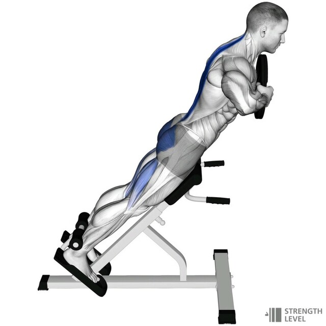 Back Raise - 45 Degree by Kendall Moore - Exercise How-to - Skimble