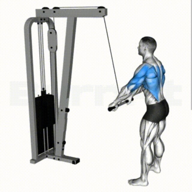 Straight Arm Pulldown by Kendall Moore - Exercise How-to - Skimble