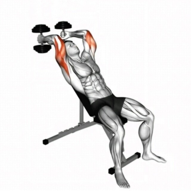 Incline Tricep Dumbbell Extensions by Kendall Moore - Exercise How-to ...