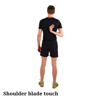 Double Shoulder Blade Touch by Terrence Laukkanen - Exercise How-to ...