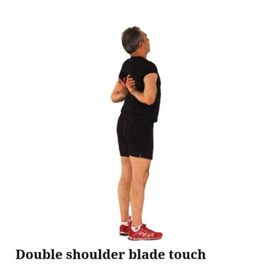 Shoulder Blade Touch by Terrence Laukkanen - Exercise How-to - Skimble