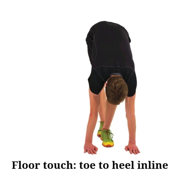 Floor Touch Toe Heel Inline by Terrence Laukkanen - Exercise How-to ...