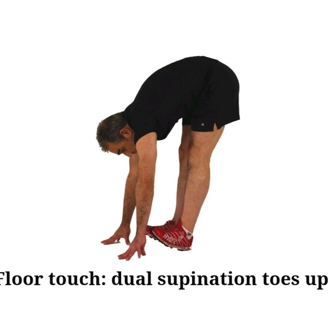 Floor Touch Dual Supination Toes Up by Terrence Laukkanen - Exercise ...