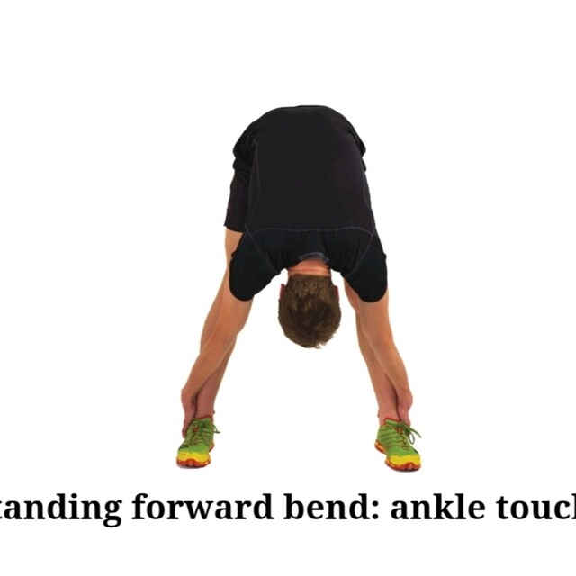 Standing Forward Bend Ankle Touch by Terrence Laukkanen - Exercise How ...
