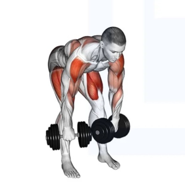Dumbbell High Pull by Martel Berry - Exercise How-to - Skimble