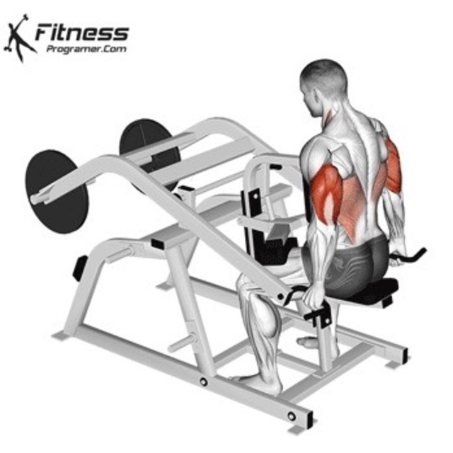 Tricep Dip Machine by Omar Reyes - Exercise How-to - Skimble