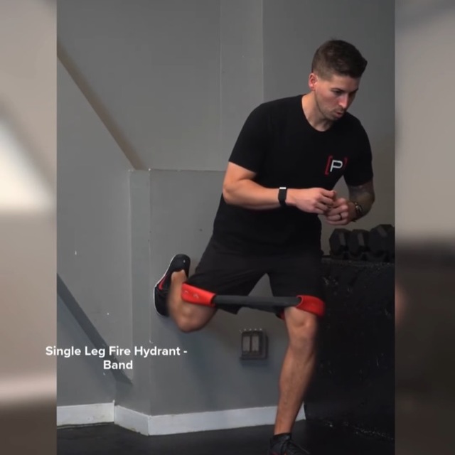 Standing single leg fire hydrant by Suellen Pinney - Exercise How-to ...