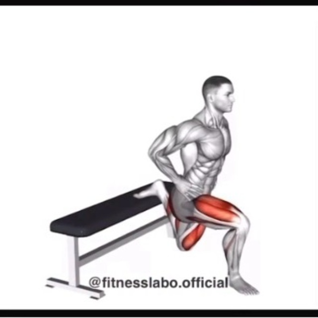 It Is Hard For Lunge On Bench by Suellen Pinney - Exercise How-to - Skimble