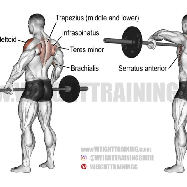 Barbell Upright Row by Lucas Cy - Exercise How-to - Skimble