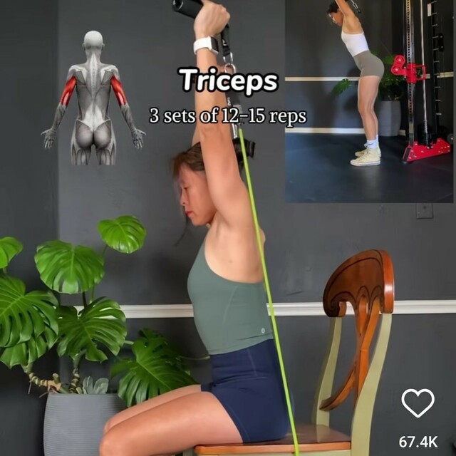 Triceps by Kita O. - Exercise How-to - Skimble Workout Trainer