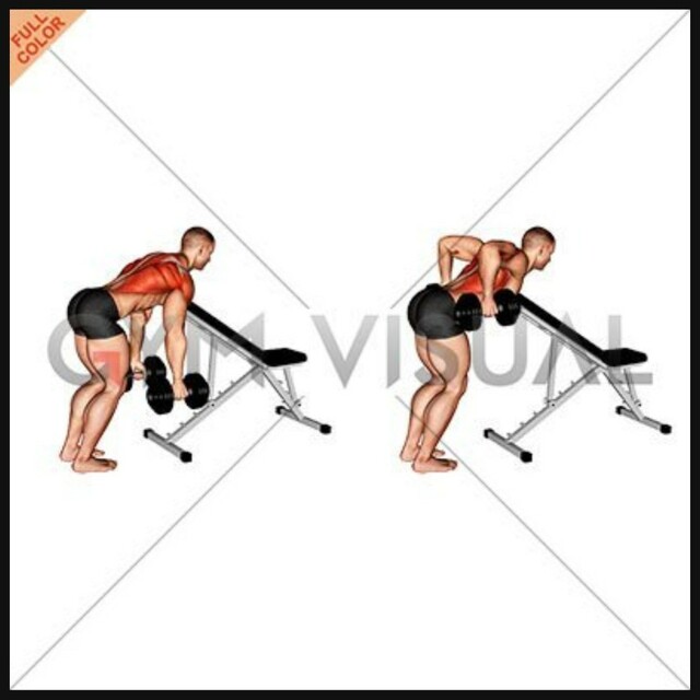 Chest Supported Row by Lucas Cy - Exercise How-to - Skimble