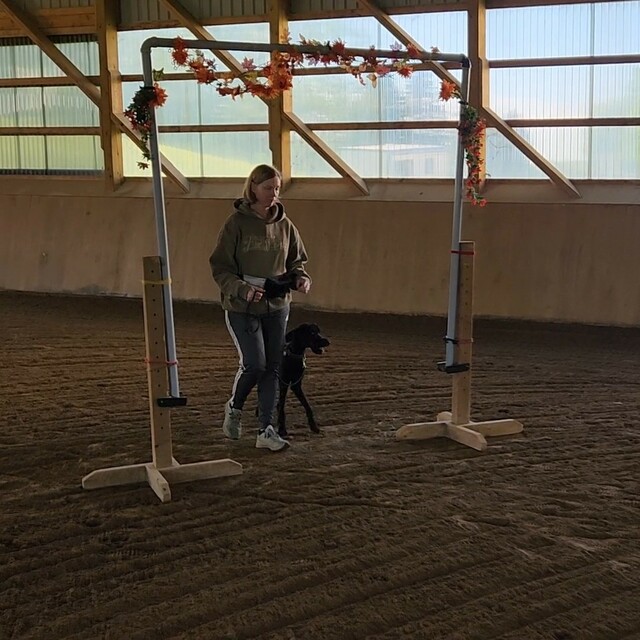 Prince And Maddy Stationing - Free Moderate Workout by Mara G. - Skimble