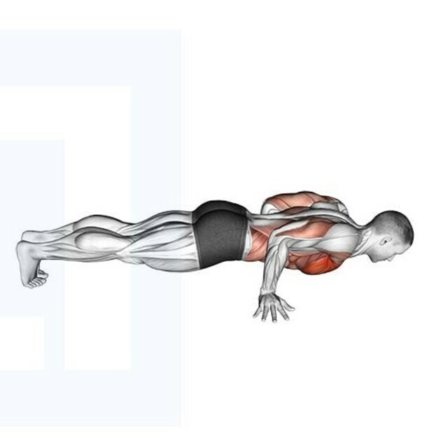 Pseudo Planche Push Up by Patrick B. - Exercise How-to - Skimble