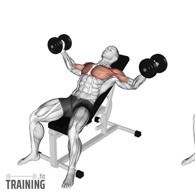 Incline Dumbbell Flys by Leyna Zapata - Exercise How-to - Skimble