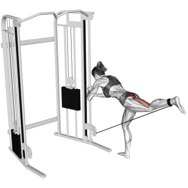 Cable Glute Kickbacks by Leyna Zapata - Exercise How-to - Skimble