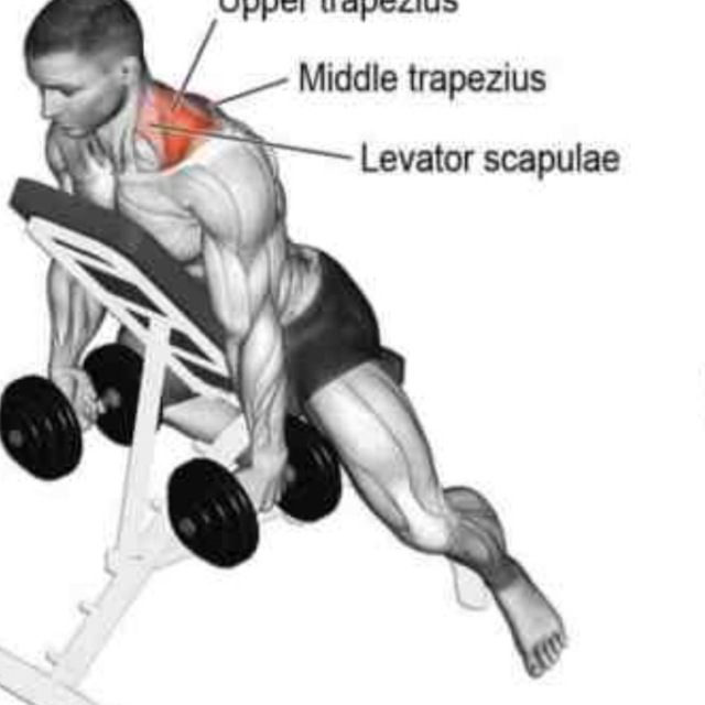 Kelso Shrug by Steve Korn - Exercise How-to - Skimble