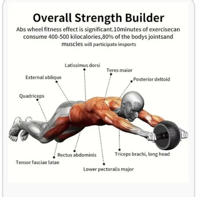 Abb Roller by Kagey A - Exercise How-to - Skimble Workout Trainer