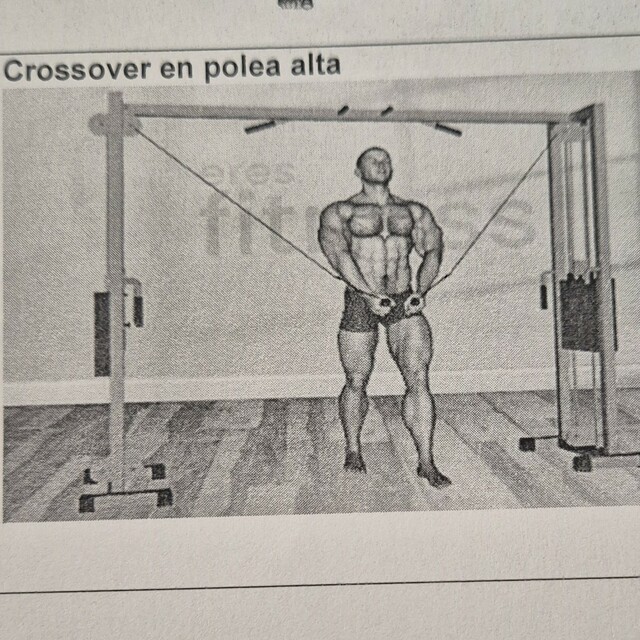 Crossover En Polea Alta by Joni Buzo - Ejercicio Cómo hacerlo - Skimble