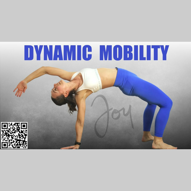 15 Min Total Body DYNAMIC MOBILITY Session - Free Full Body Workout ...