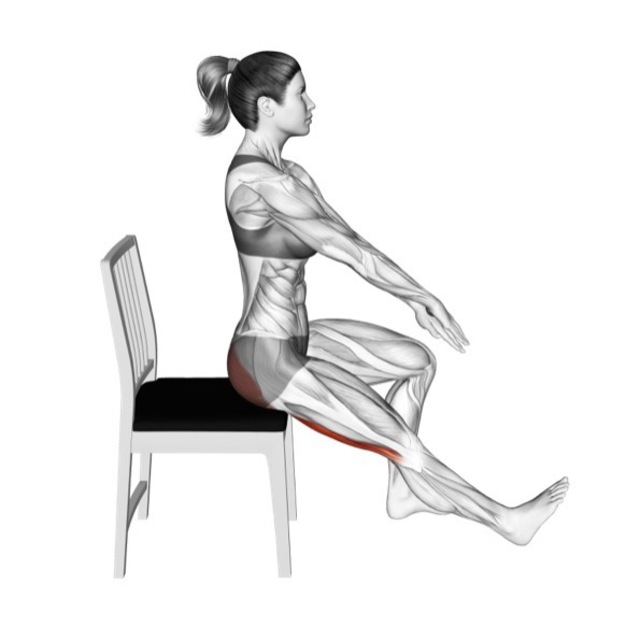 Seated Hamstring Stretch by Esteve K - Exercise How-to - Skimble