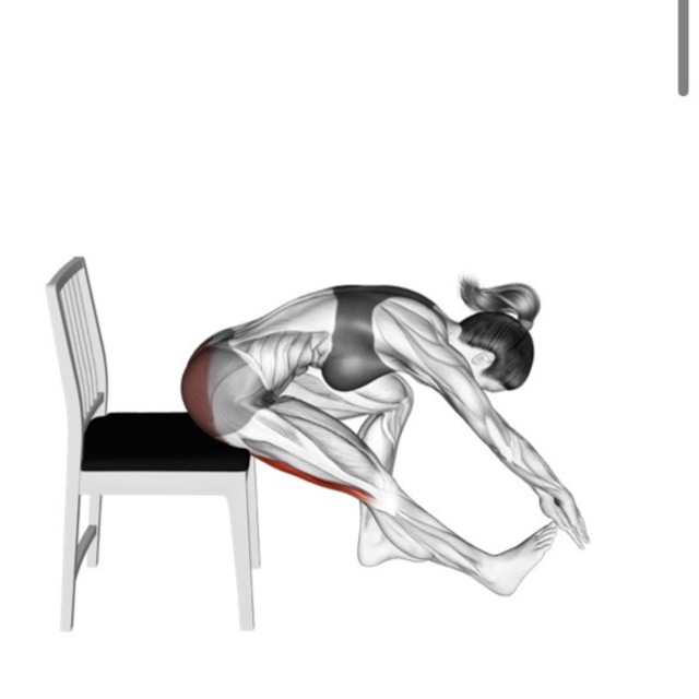 Seated Hamstring Stretch by Esteve K - Exercise How-to - Skimble