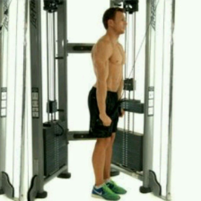 Tricep Rope Pulldown by Saulo A. - Exercise How-to - Skimble